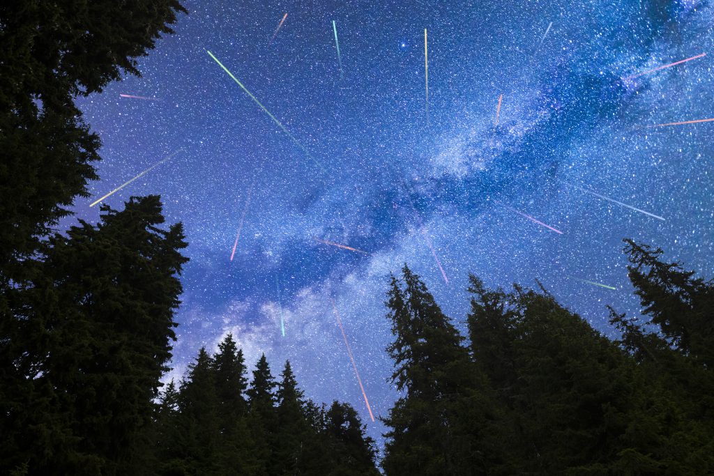 Meteore Orionidi: arriva il picco delle ‘stelle cadenti’ della cometa ...