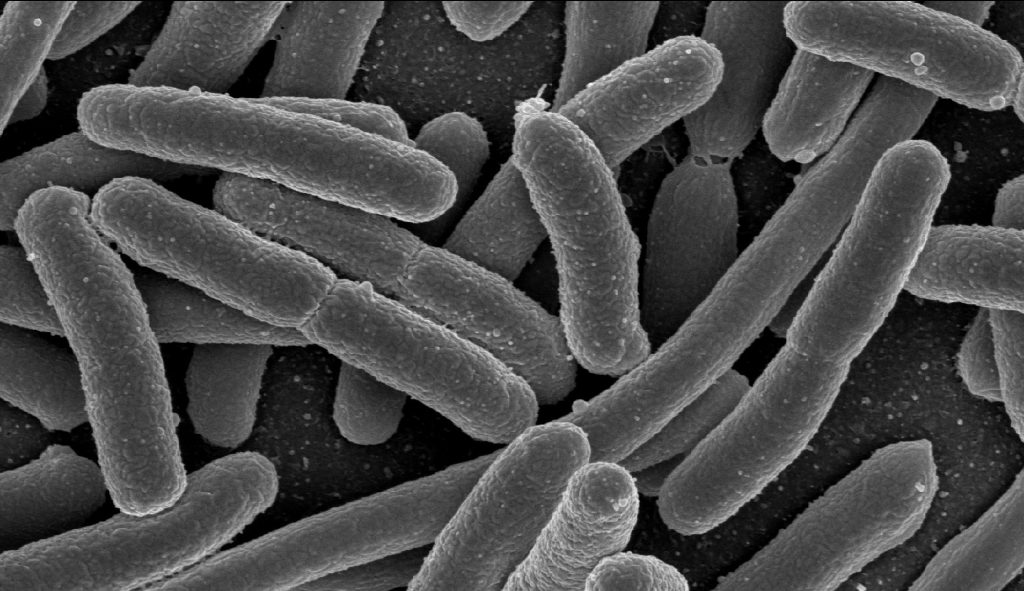 La gravità zero potenzia i virus: ecco come lo spazio cambia la guerra ...