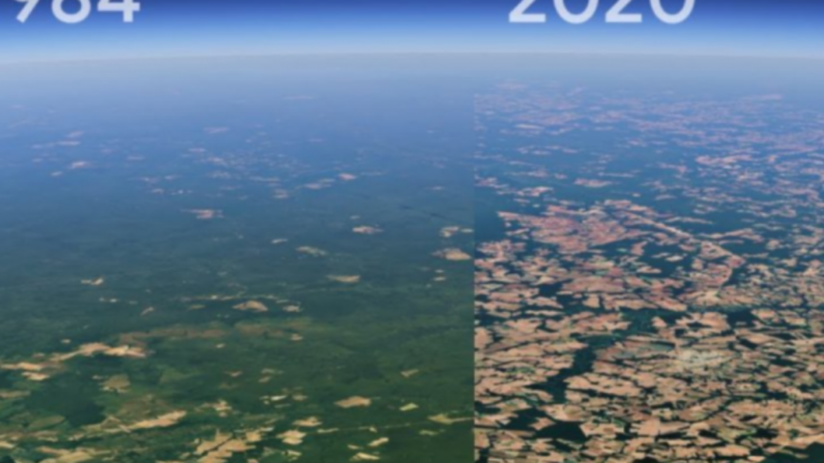 Gli ultimi 37 anni della Terra in un timelapse su Google Earth, il ...